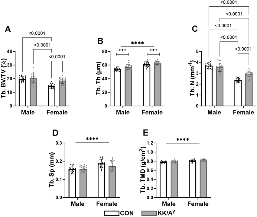 The Quantitative Biomedical Imaging & Spectroscopy Lab - Rachel Surowiec - Biomedical ...